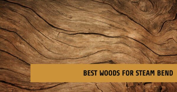 The Top 5 Best Woods for Steam Bending | mebel.bg